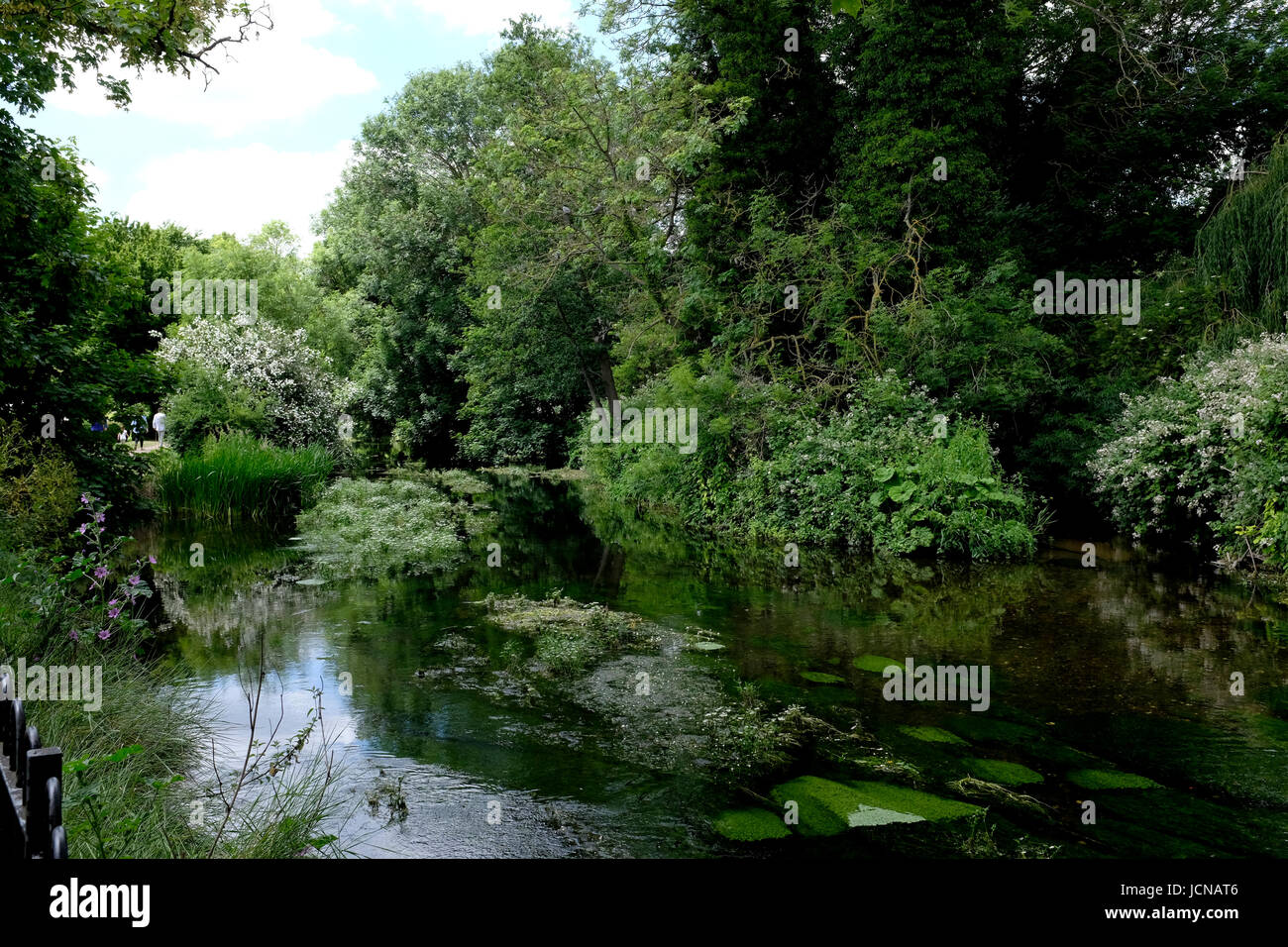 river stour in the city of canterbury kent england uk june 2017 Stock ...