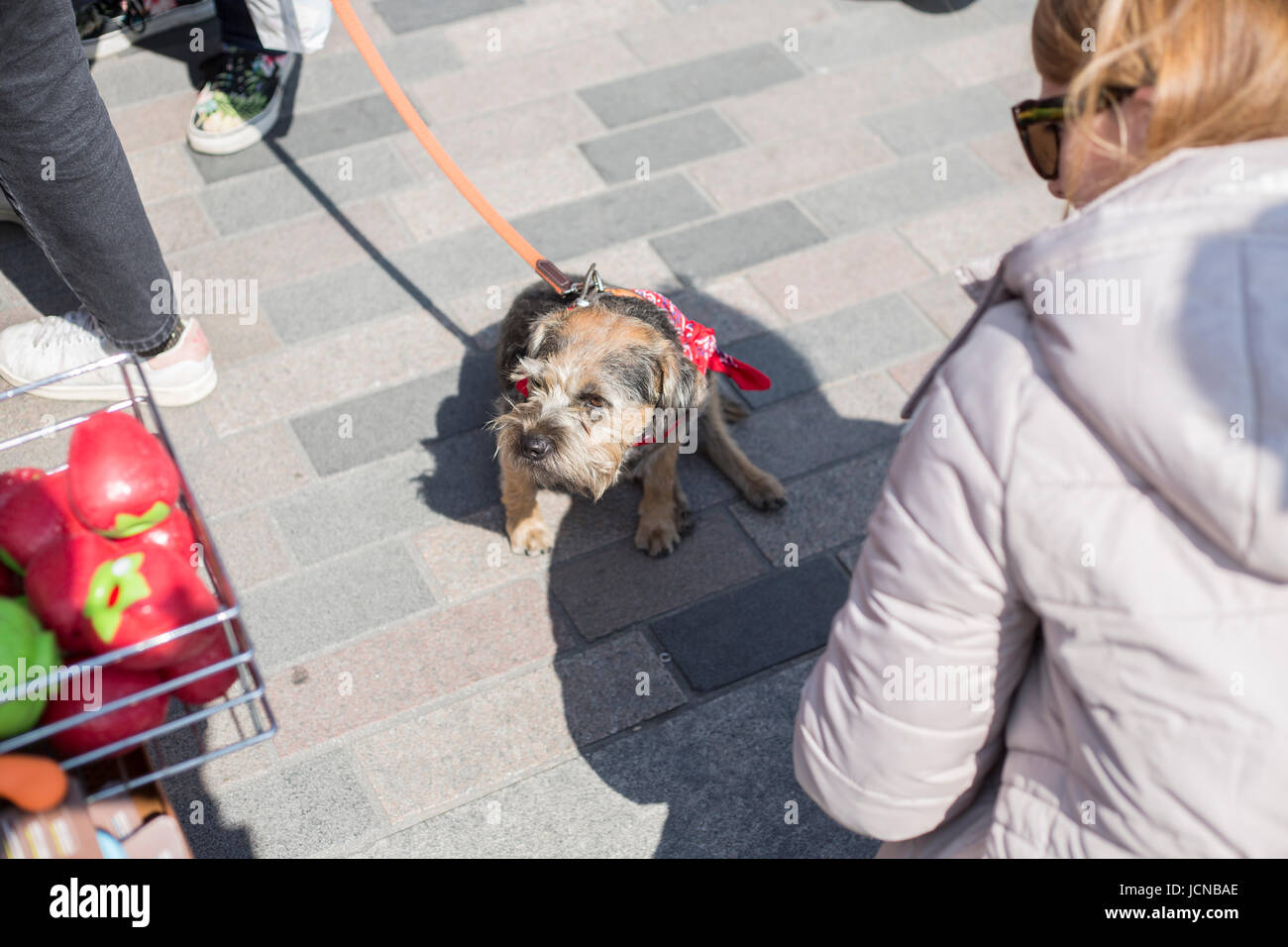 Candid london hi-res stock photography and images - Alamy
