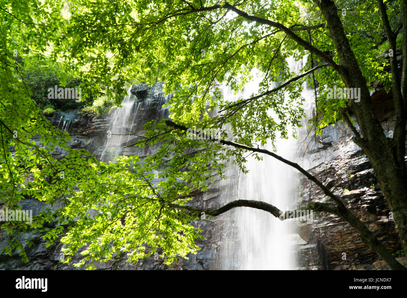 The onoko hi-res stock photography and images - Alamy