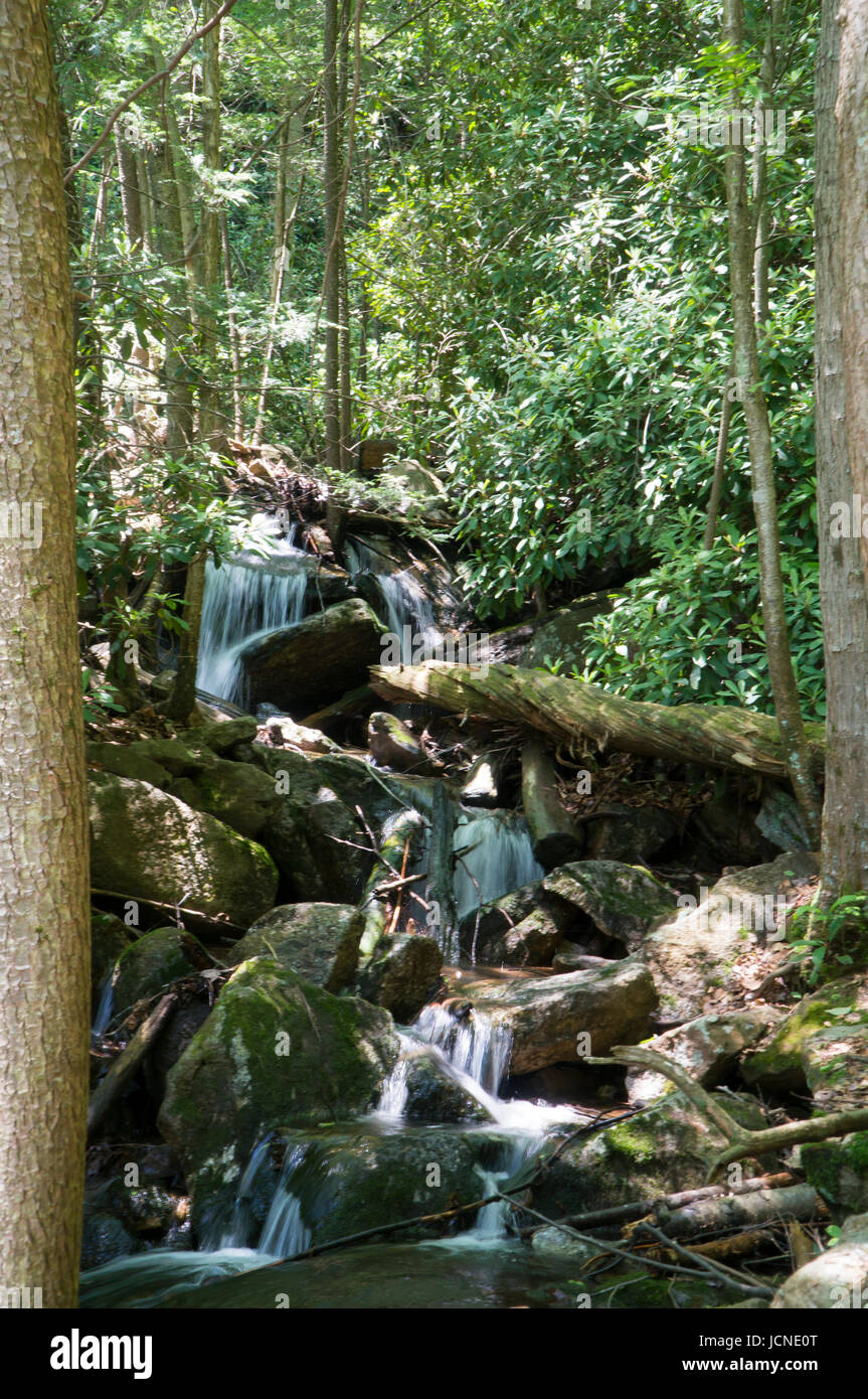 Glen Onoko Trail Stock Photo - Alamy