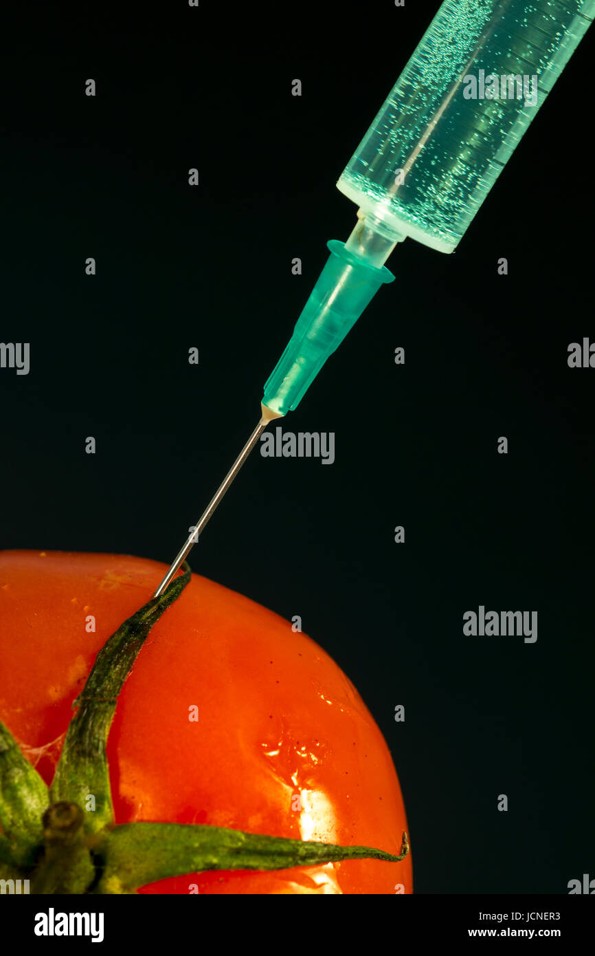 Hypodermic needle injecting a bright green substance into a red tomato ...