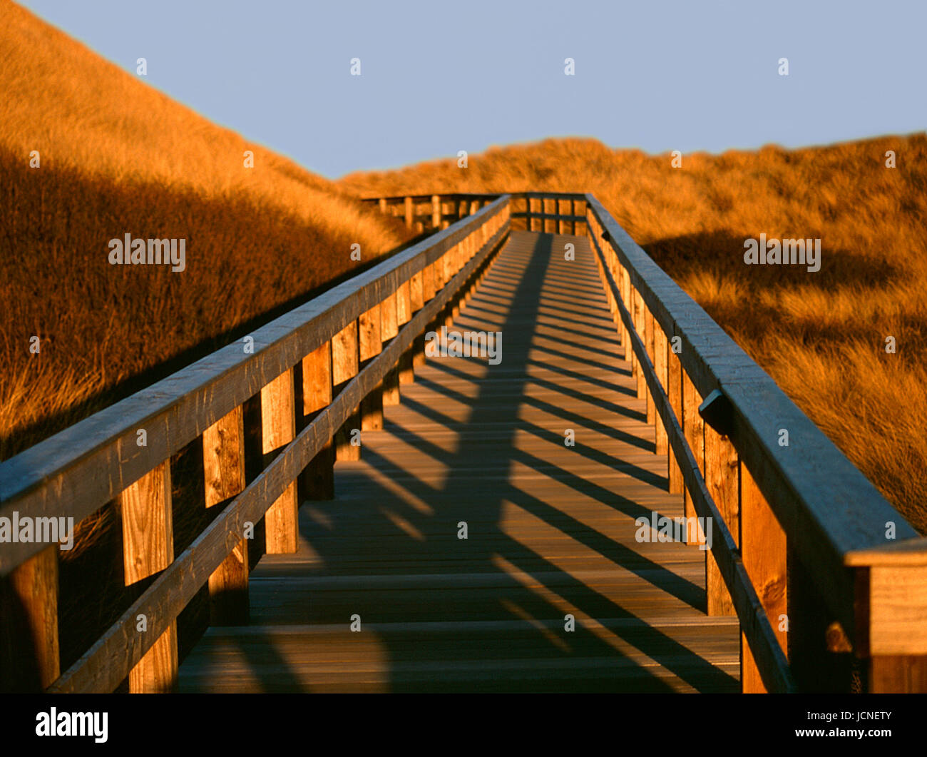 Dunes on the island of Sylt, Germany Stock Photo - Alamy