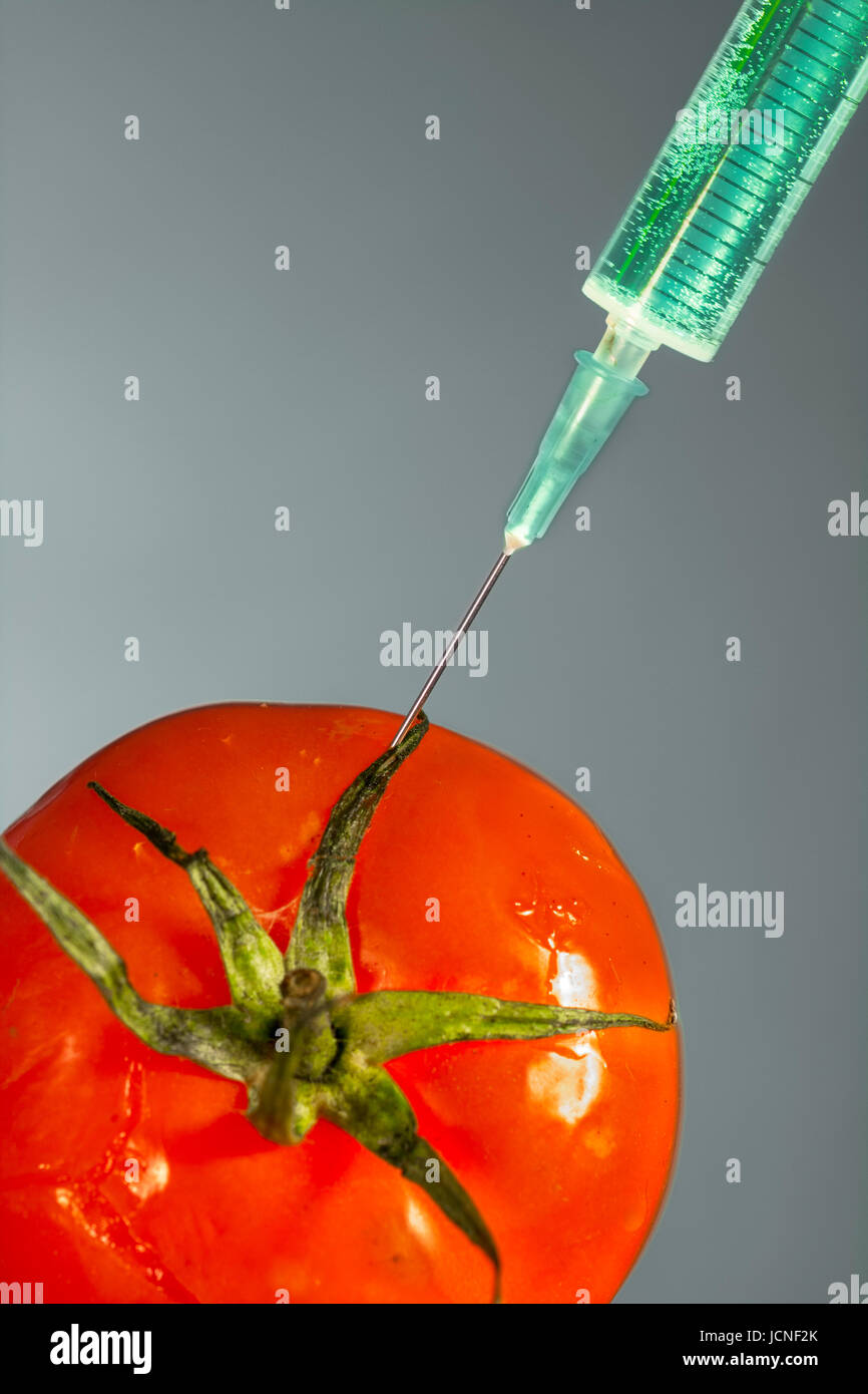 Injecting with hypodermic needle a bright green substance into a red ...