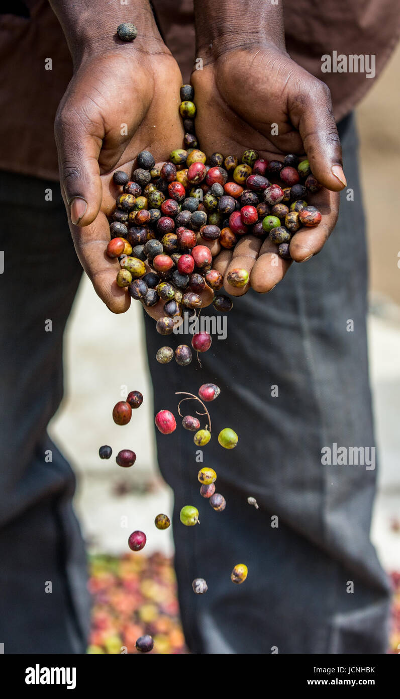 Handbreadths hi-res stock photography and images - Alamy