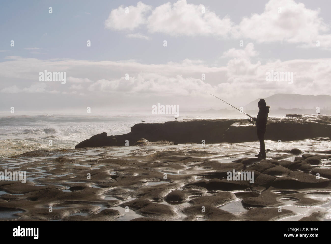Female Angler Fish High Resolution Stock Photography and Images - Alamy