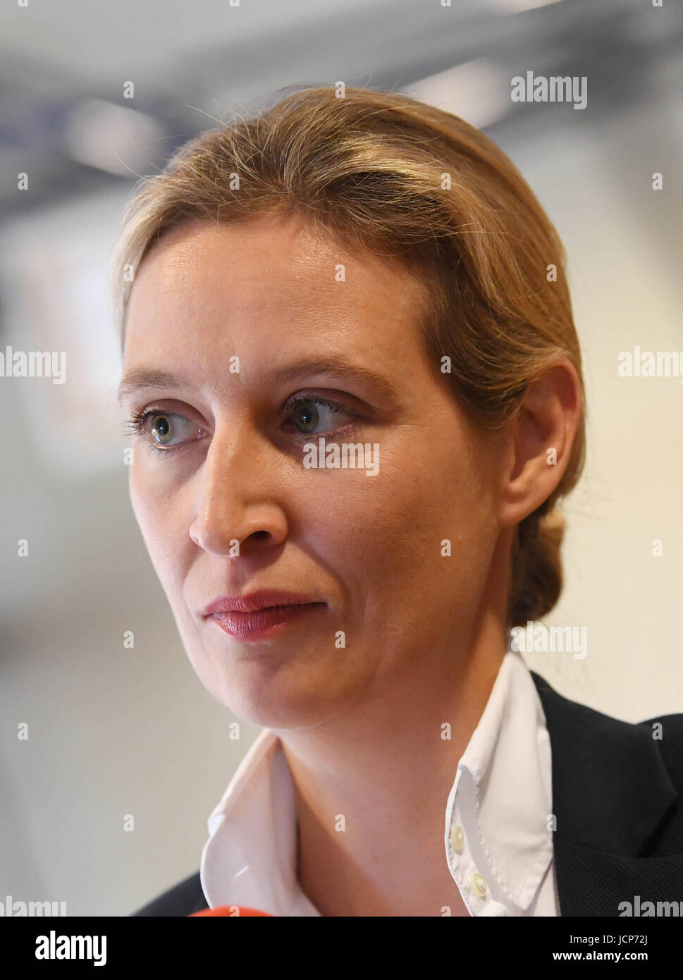 Karlsruhe, Germany. 17th June, 2017. Alice Weidel, frontrunner of the ...