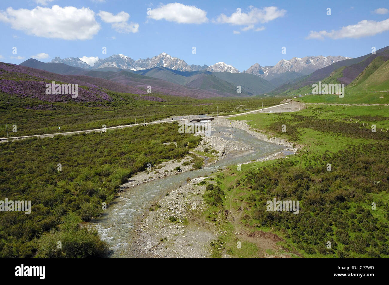 Tianzhu. 16th June, 2017. Photo taken on June 16, 2017 shows the summer ...