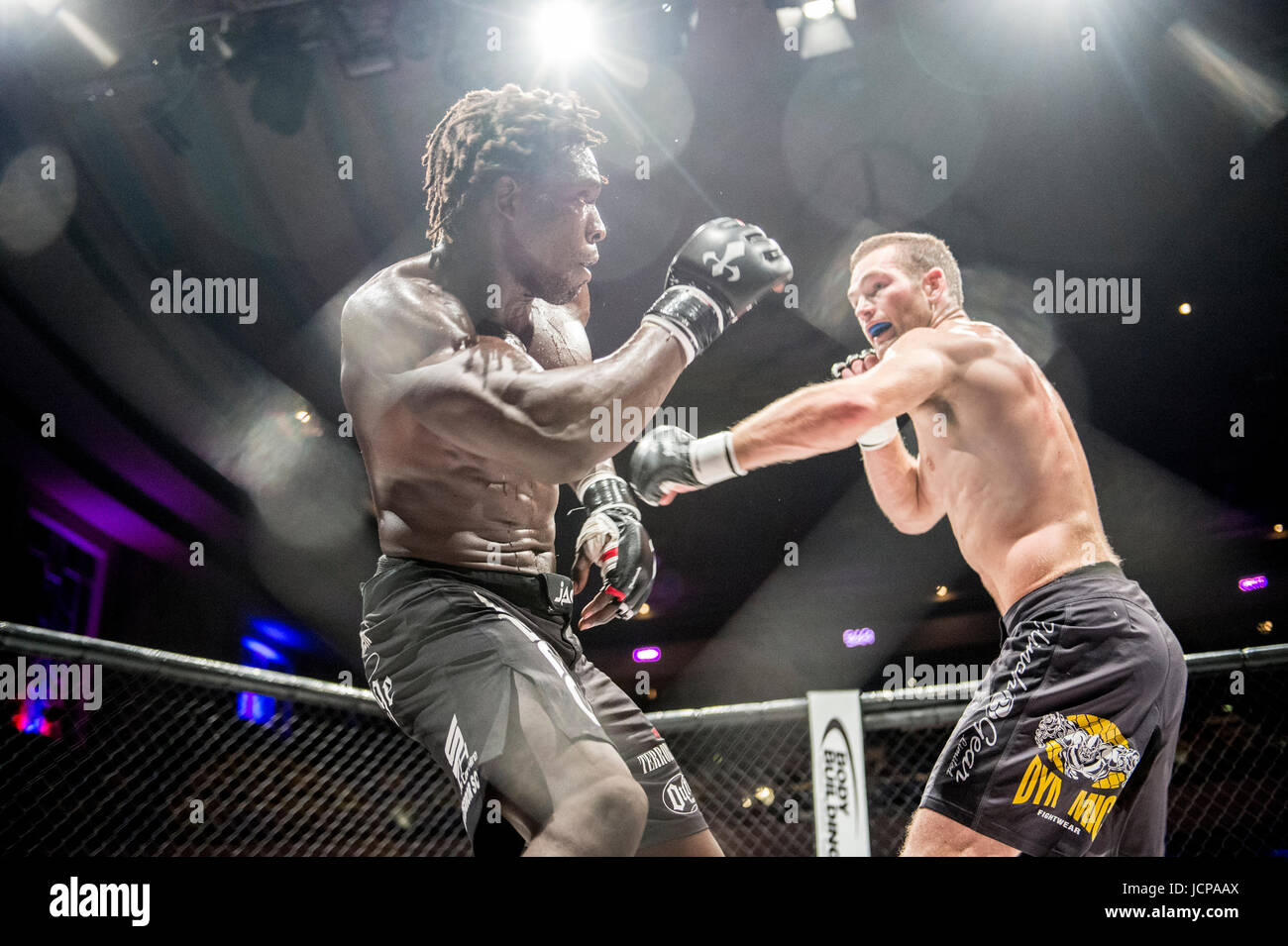 MMA Training Stock Photo - Alamy