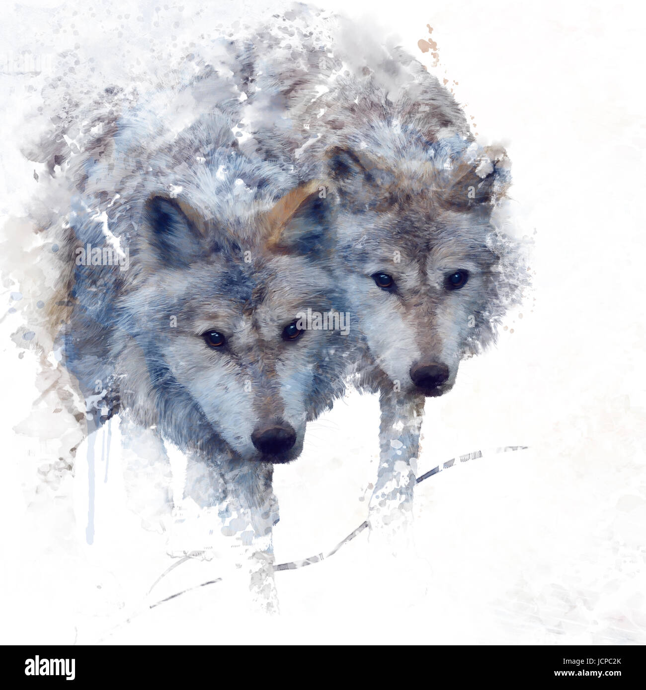 Two wolves painting hi-res stock photography and images - Alamy