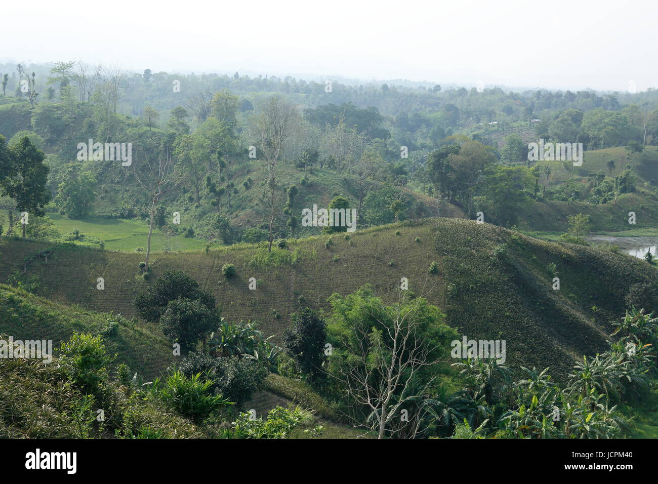 Jhum cultivation hi-res stock photography and images - Alamy