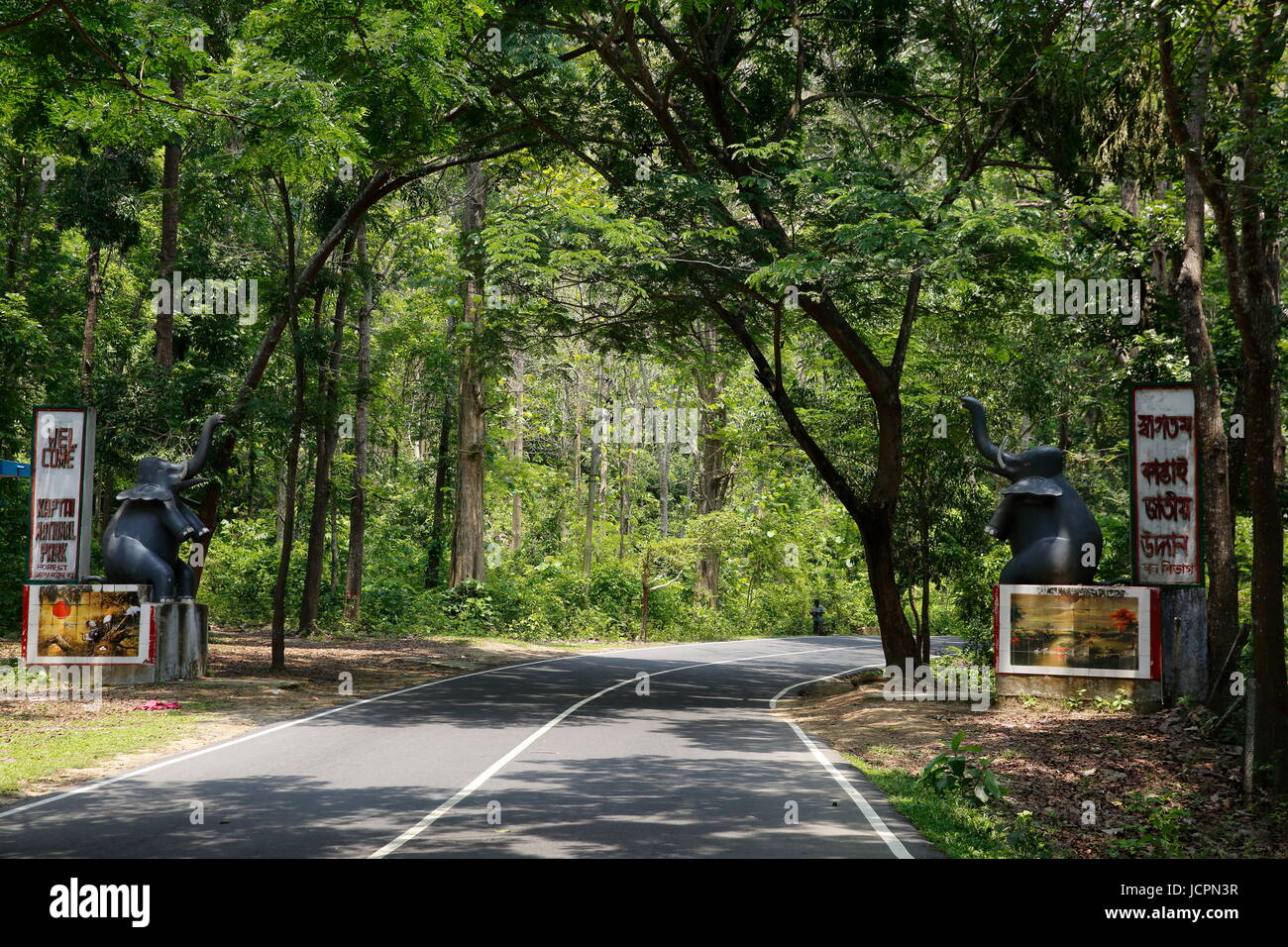 Kaptai National Park in Rangamati, Bangladesh Stock Photo - Alamy