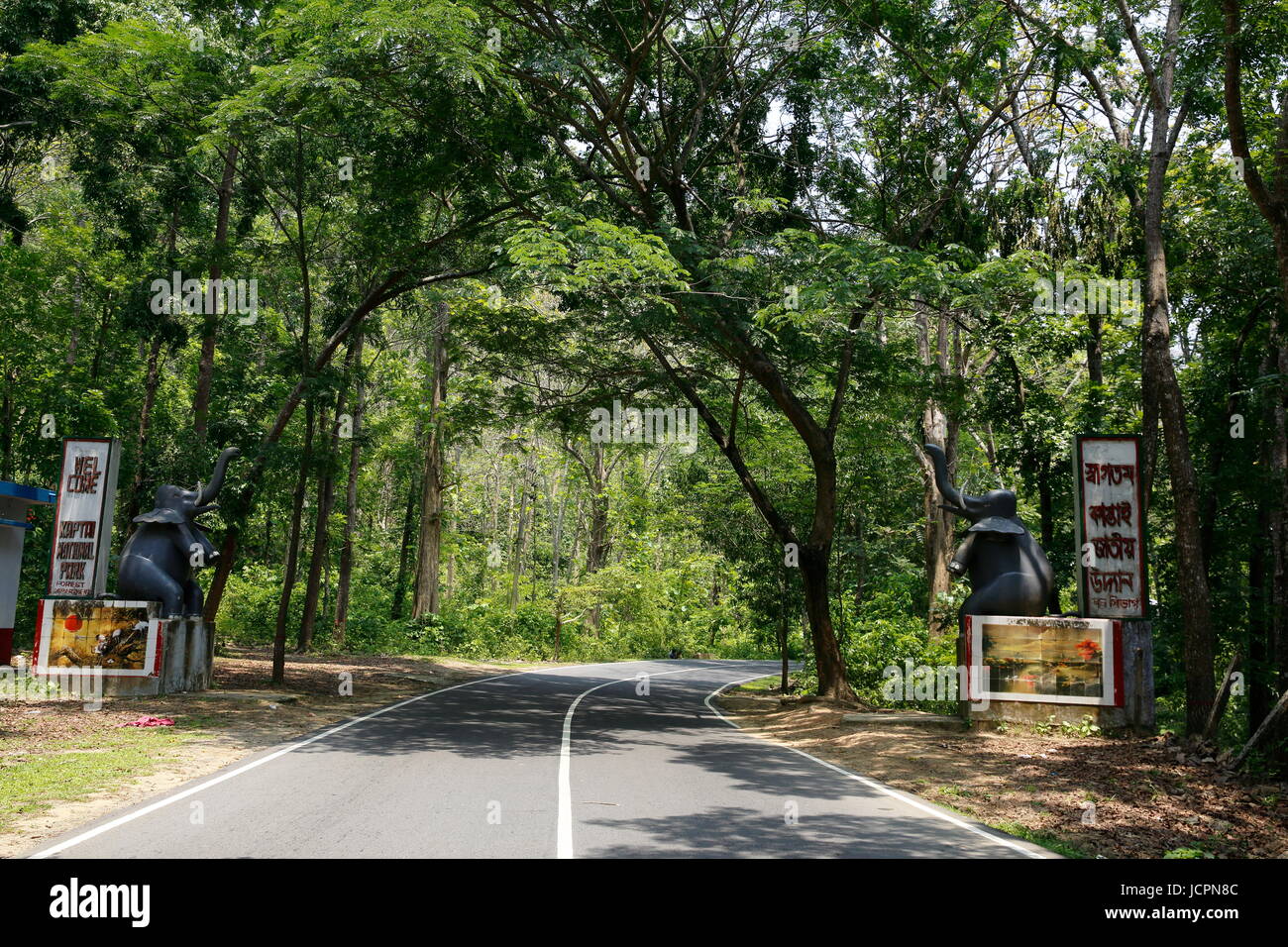 Kaptai National Park in Rangamati, Bangladesh Stock Photo - Alamy