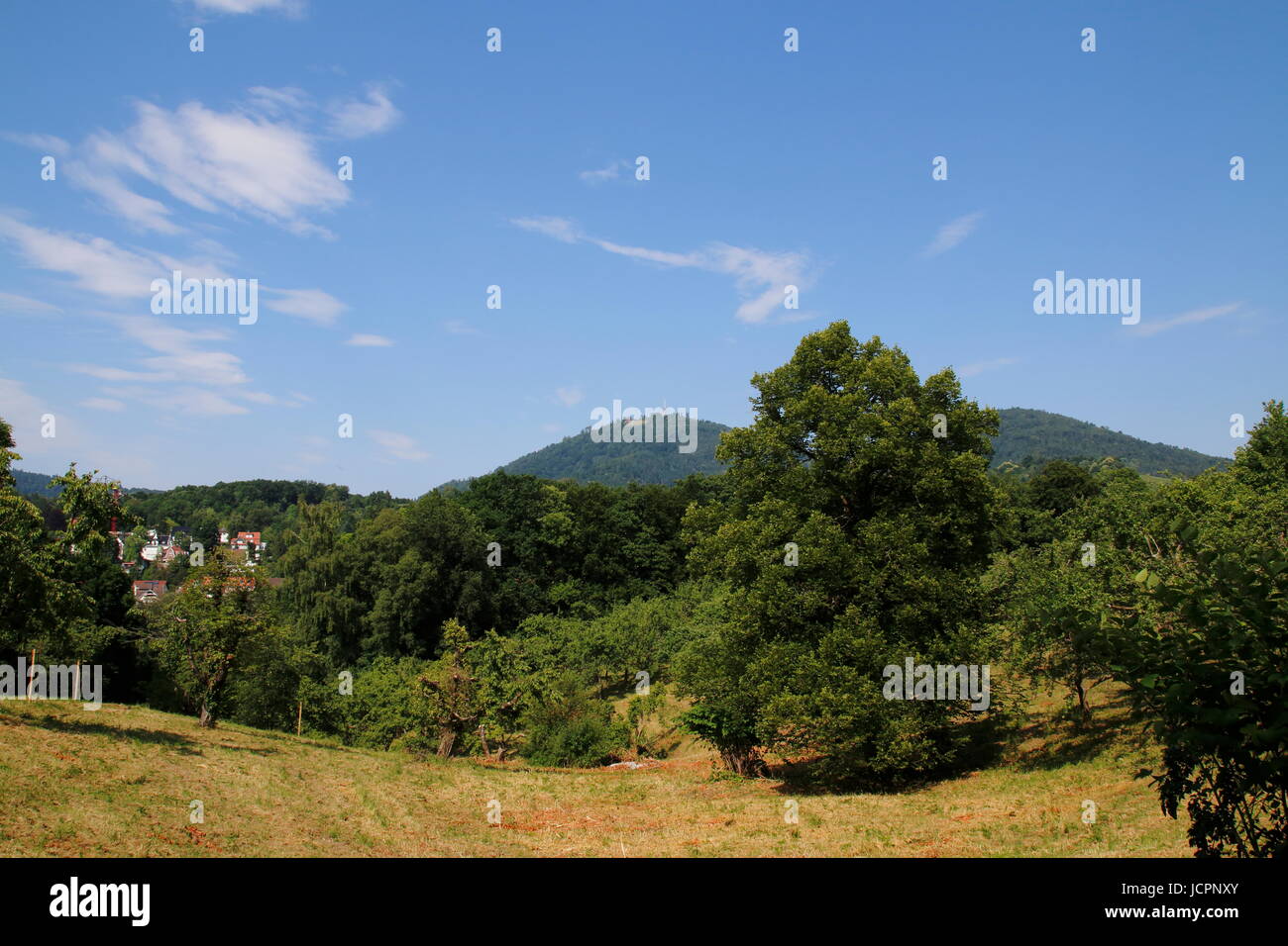 Hausberg, Berg Merkur in Baden-Baden mit Aussichtsturm, Turm Stock ...