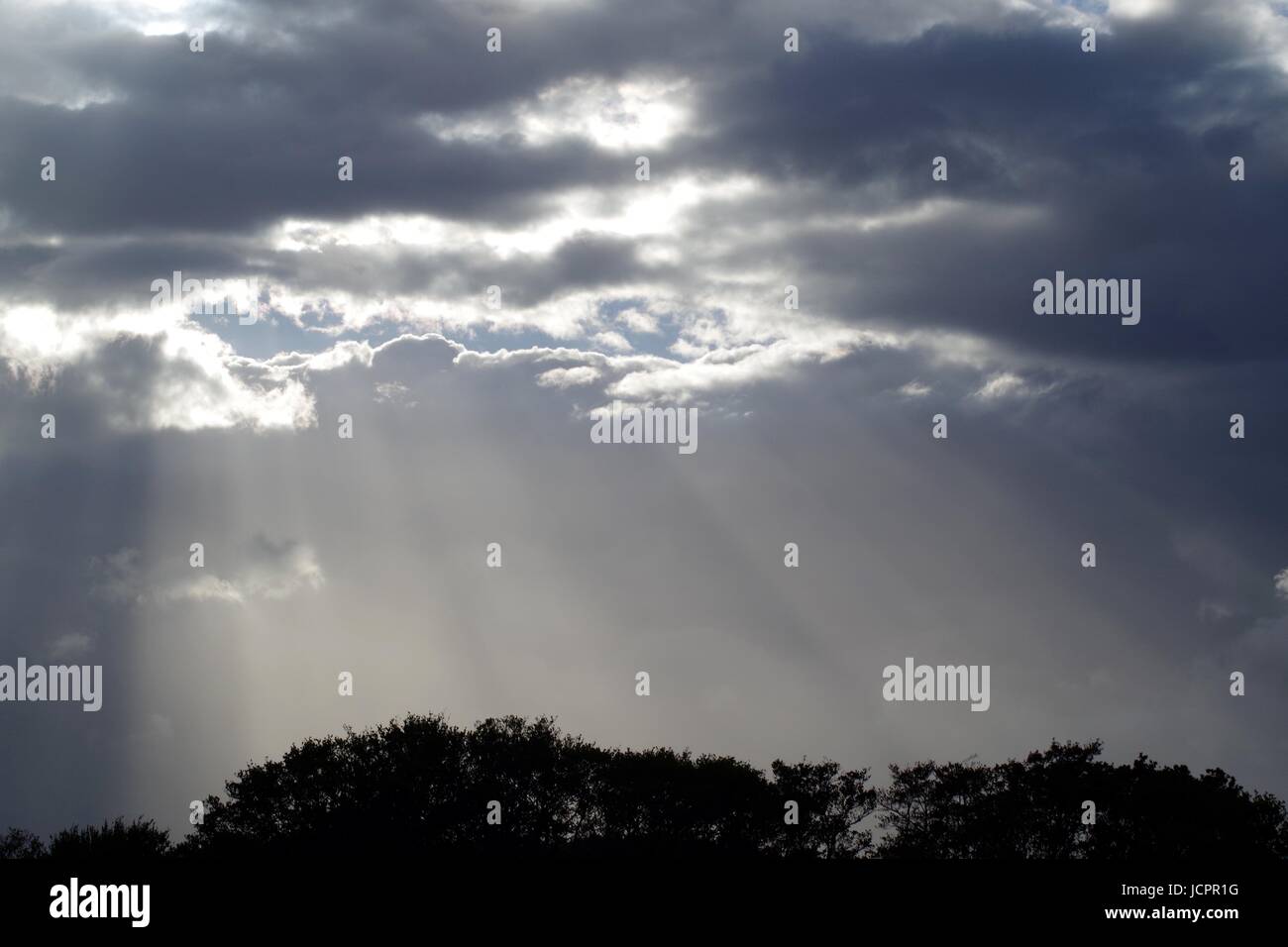 Crepuscular Sun Rays and an Overcast Stratocumulus Cloud Formation Over ...
