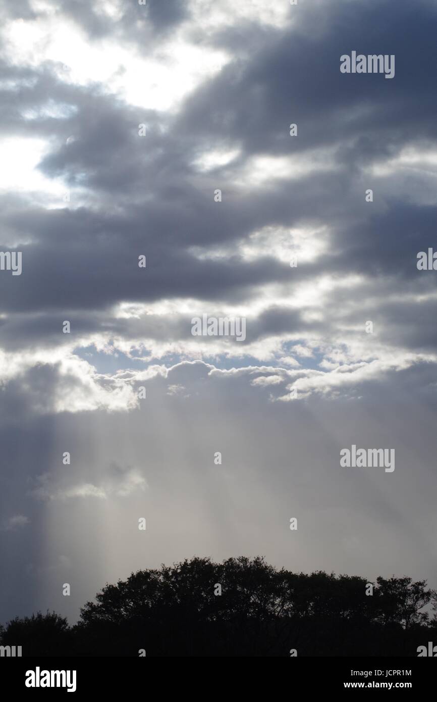 Crepuscular Sun Rays and an Overcast Stratocumulus Cloud Formation Over ...