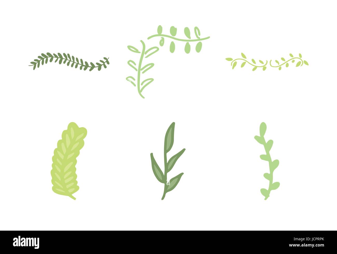 Vector icon of various leaves Stock Vector Image & Art - Alamy