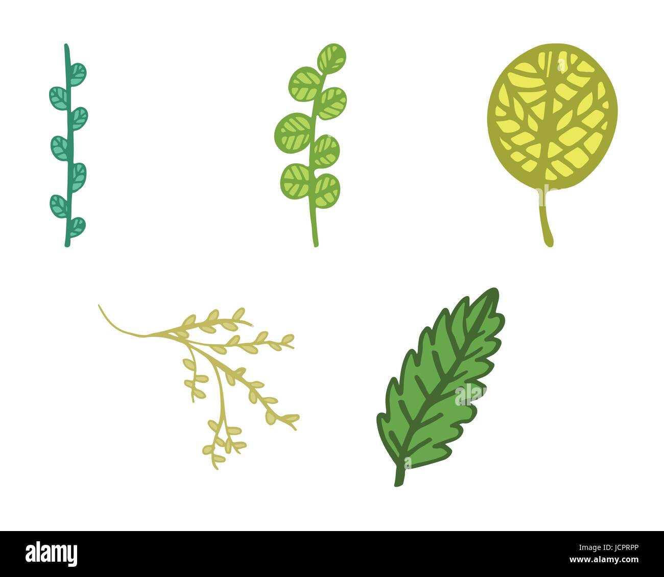 Vector icon of various leaves Stock Vector Image & Art - Alamy