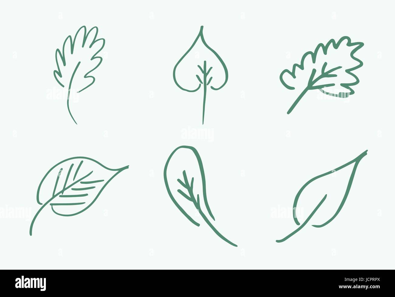 Vector icon of various outline leaves Stock Vector Image & Art - Alamy