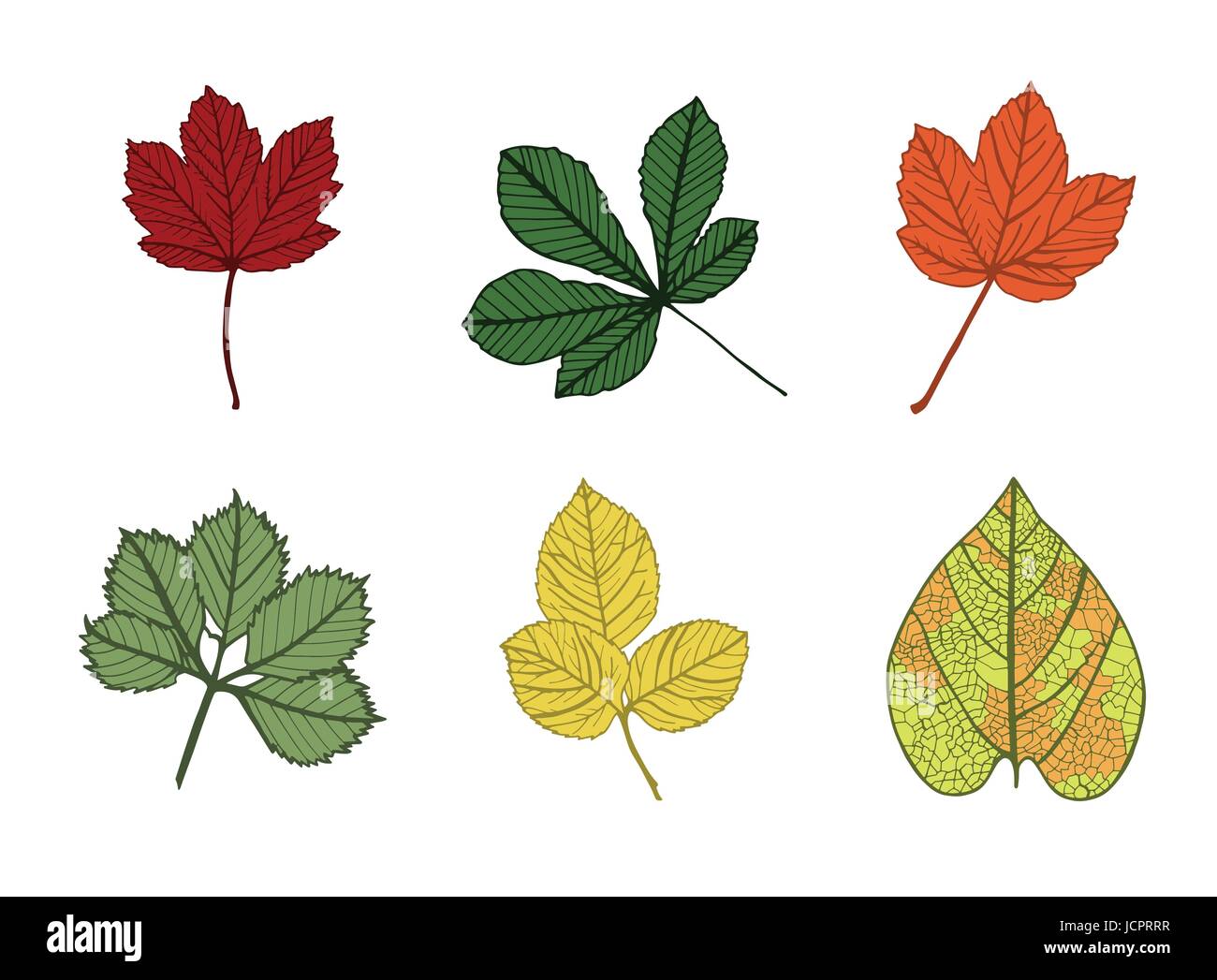 Vector icon of autumn leaves Stock Vector Image & Art - Alamy