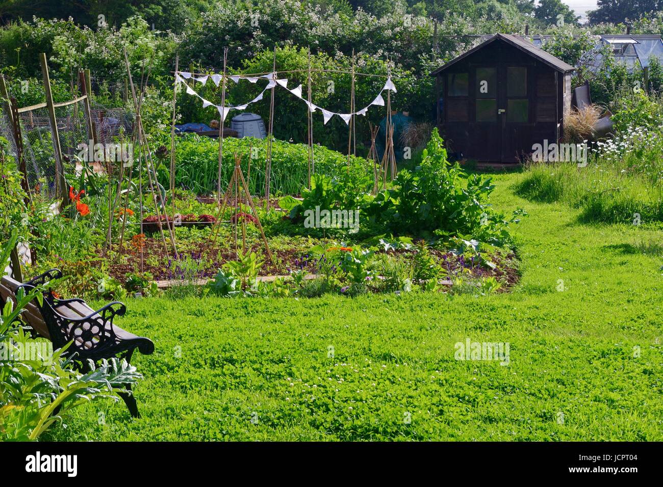 An Allotment Plot in Summer. Exeter, Devon, UK. June, 2017 Stock Photo ...