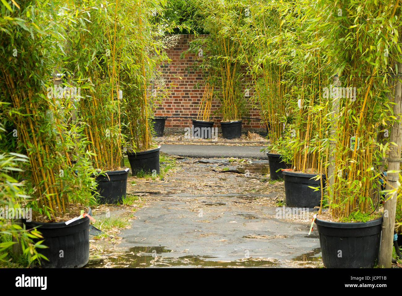 The palm centre ham hi-res stock photography and images - Alamy