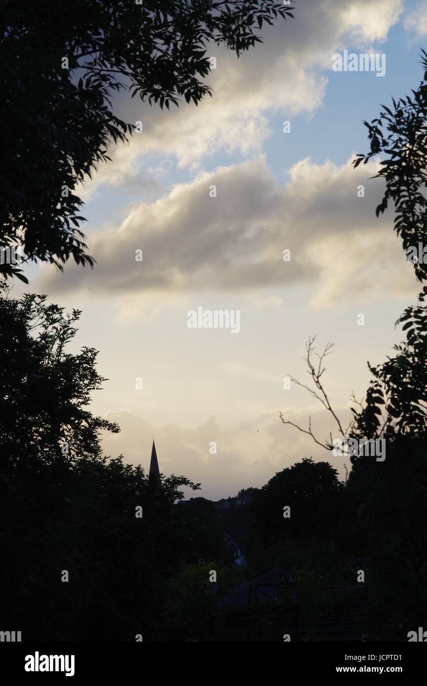 A Framed Patch of Sky by Ash Tree Leaves and a Church Spire. Exeter ...