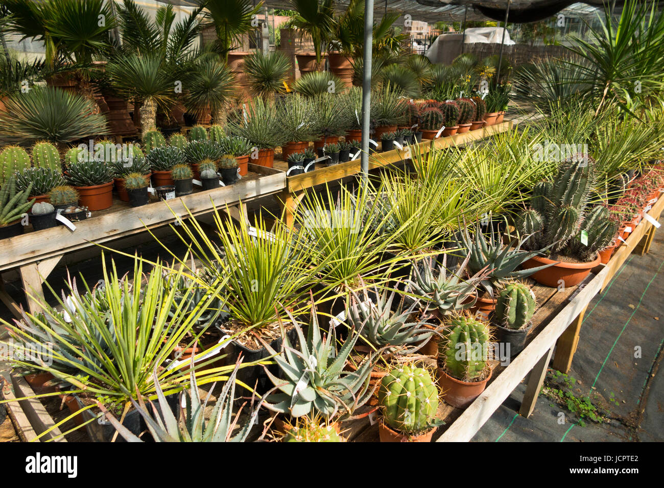 The palm centre richmond hi-res stock photography and images - Alamy