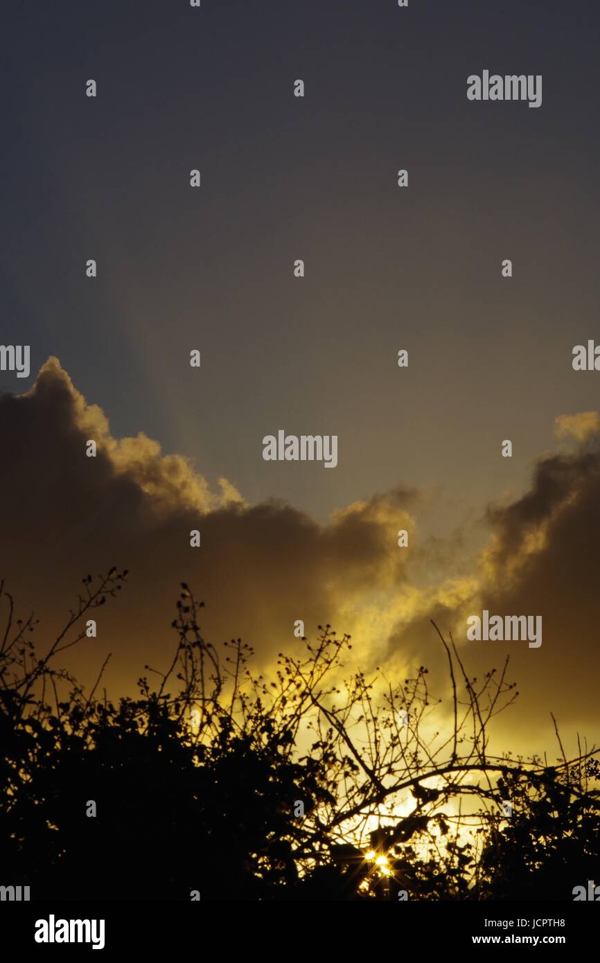 A Golden Sunset at Exeter Quay above a Bramble Hedge Row. Devon, UK ...