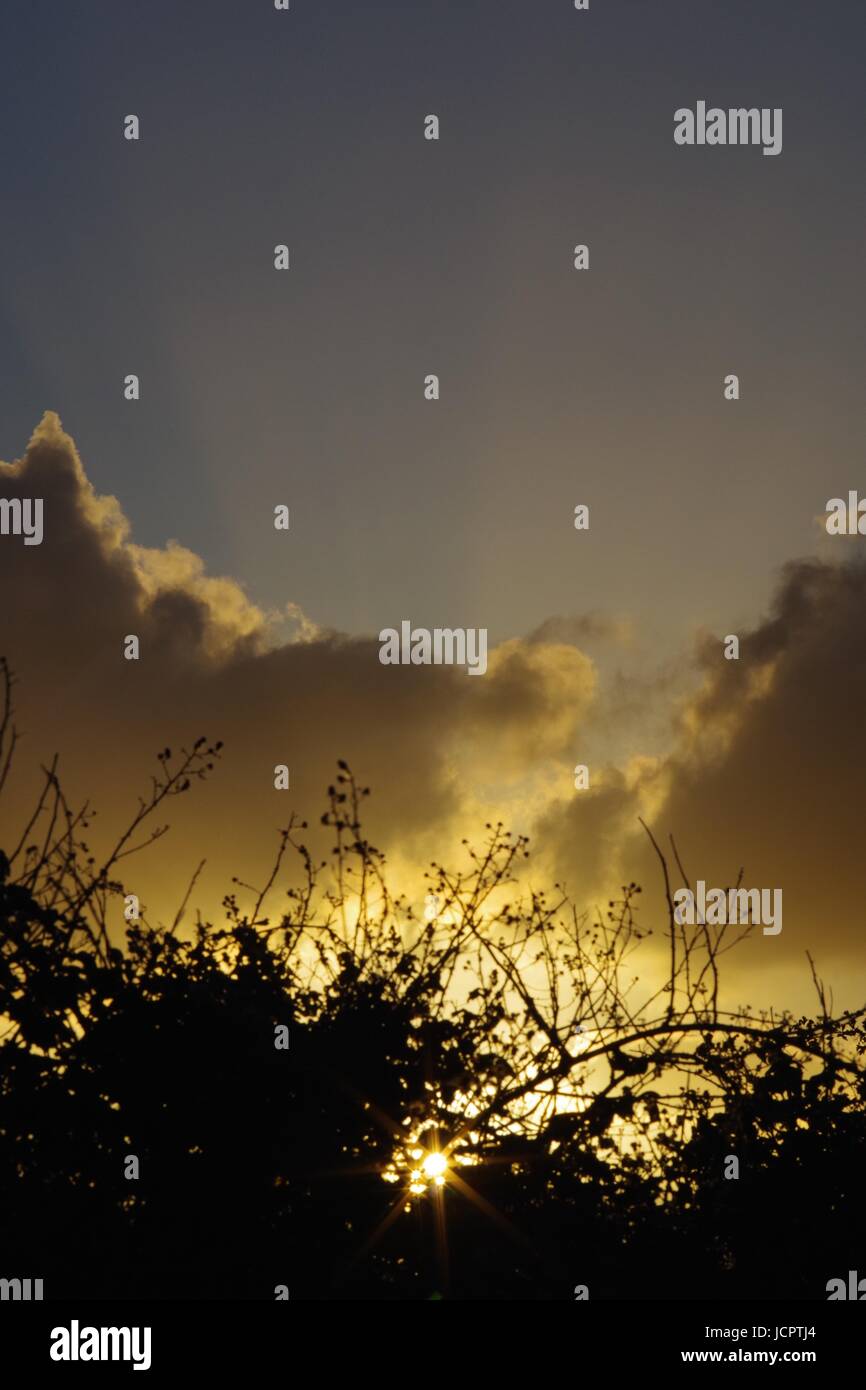 A Golden Sunset at Exeter Quay above a Bramble Hedge Row. Devon, UK ...