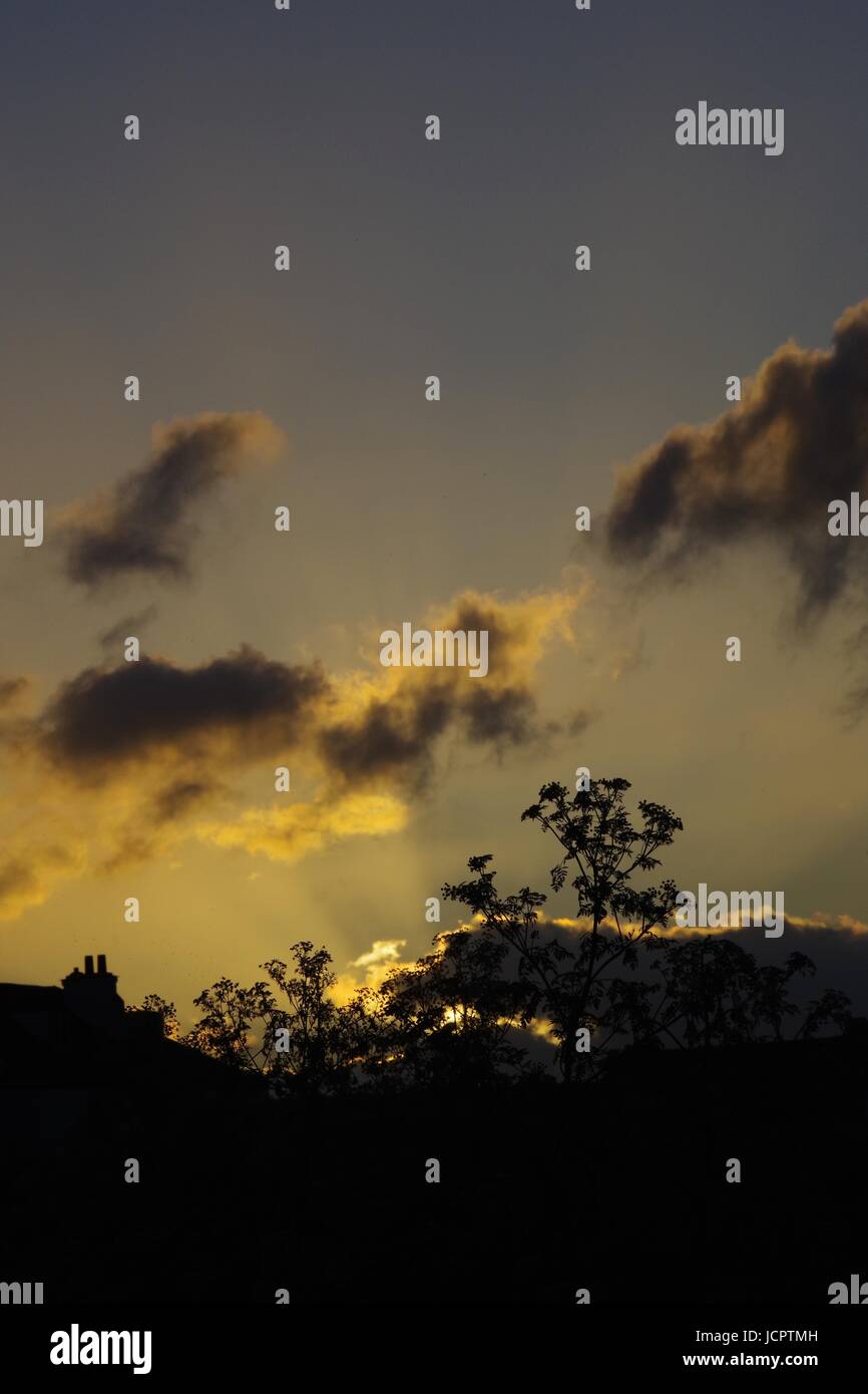 A Golden Sunset at Exeter Quay. Devon, UK. June, 2017 Stock Photo - Alamy