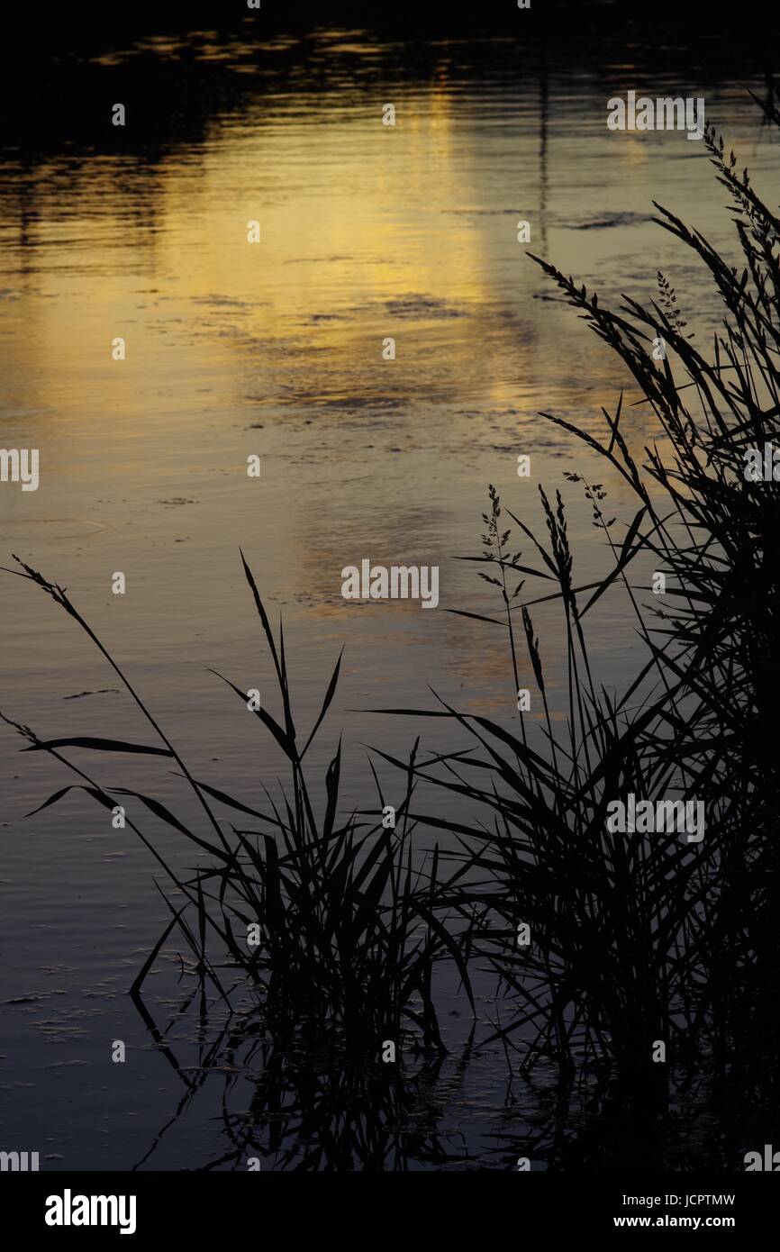 Exeter canal sunset hi-res stock photography and images - Alamy