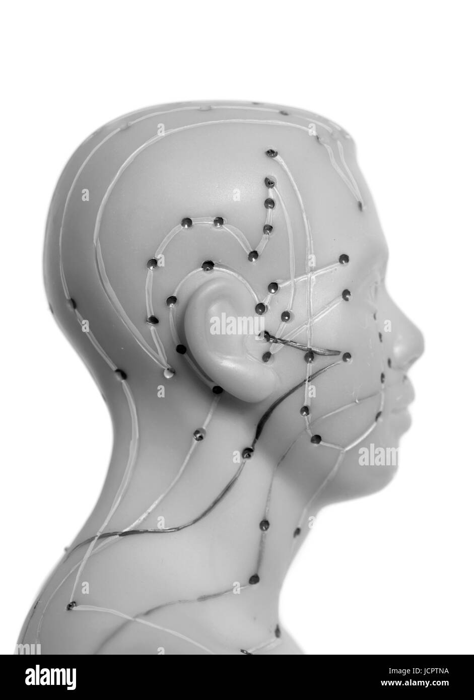 Medical acupuncture model of human head isolated on white background ...