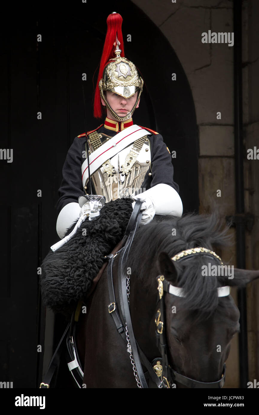 Life Guard mounted on horse, Household Cavalry Museum, London, England ...