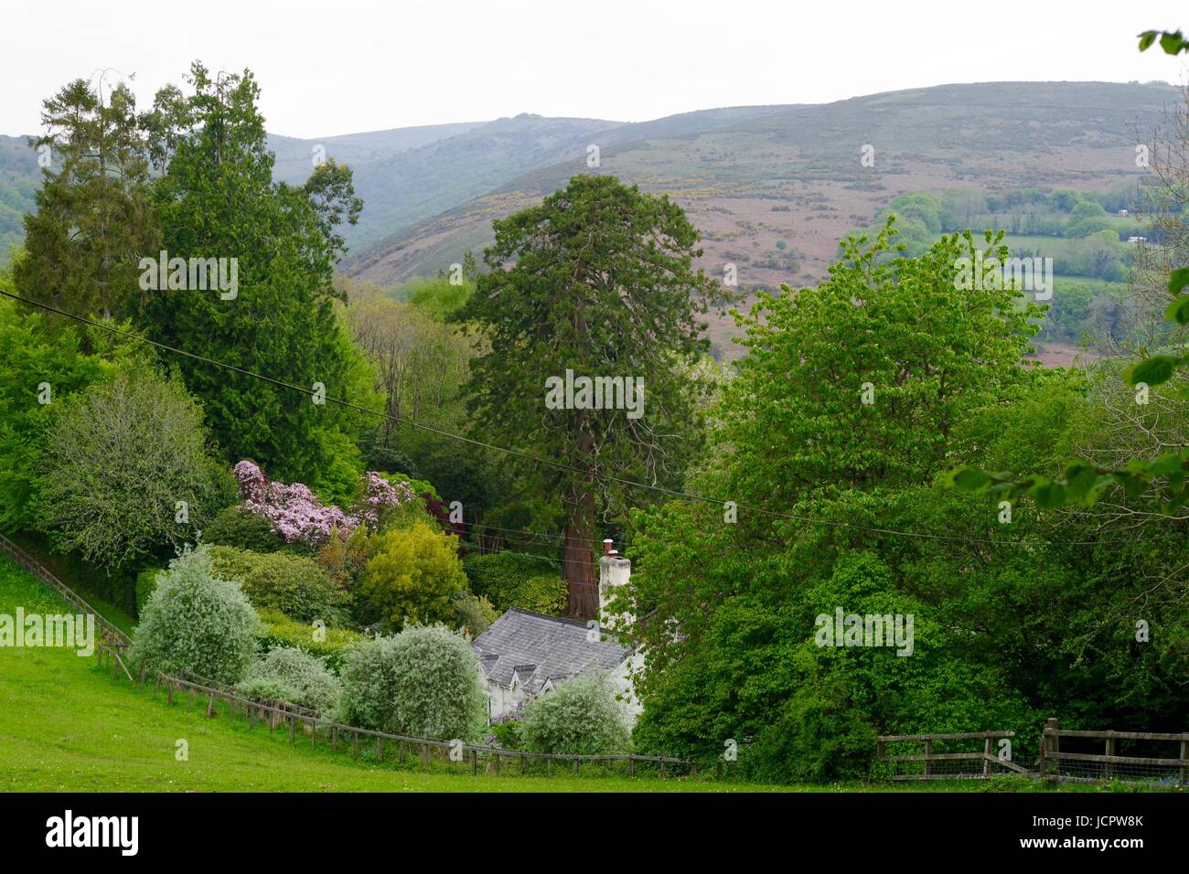 Holne cottage hi-res stock photography and images - Alamy