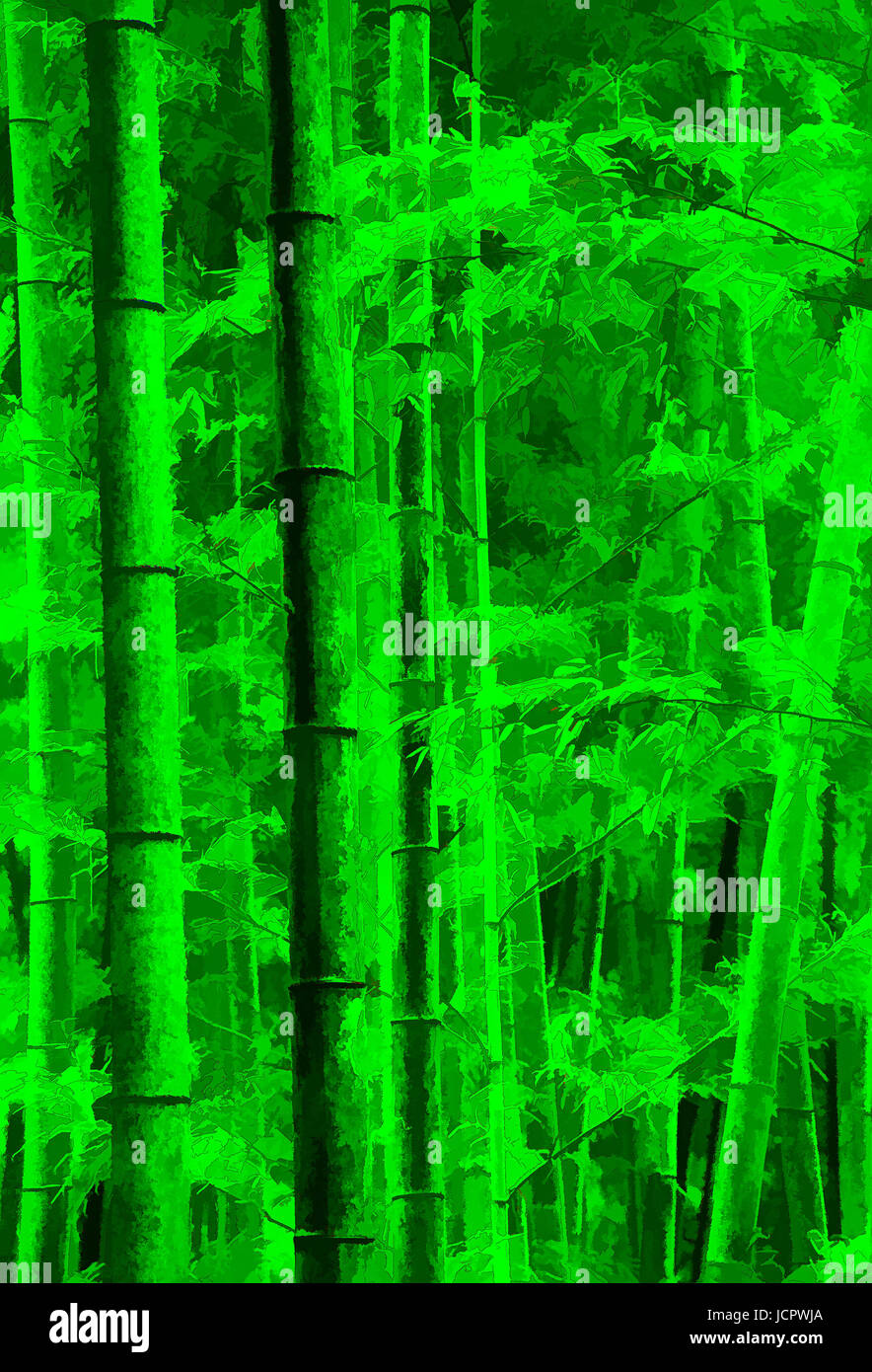 Bamboo forest. --Photo Art Painting Stock Photo - Alamy