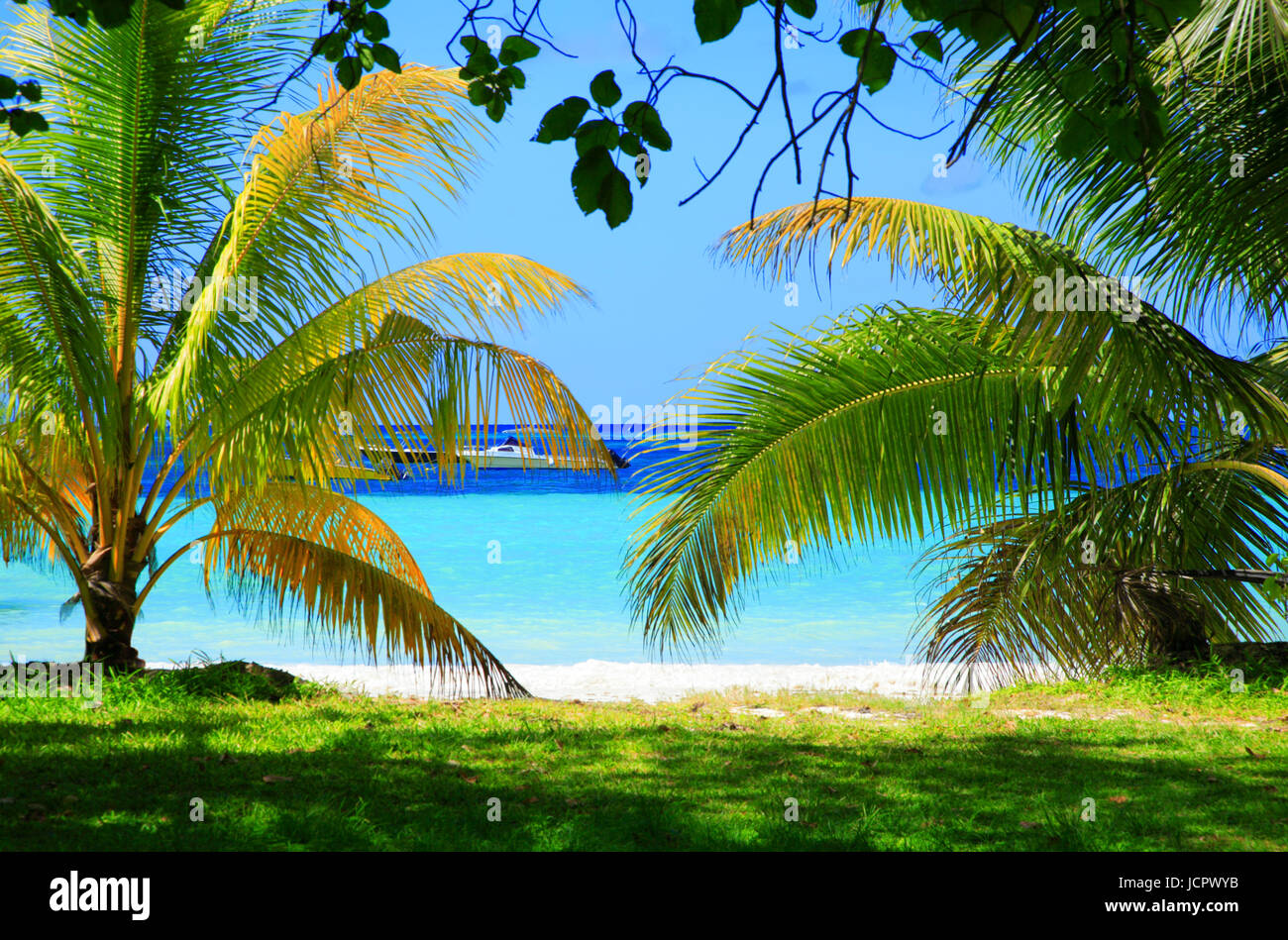 Anse Volbert Beach, Island Praslin, Republic of Seychelles Stock Photo ...