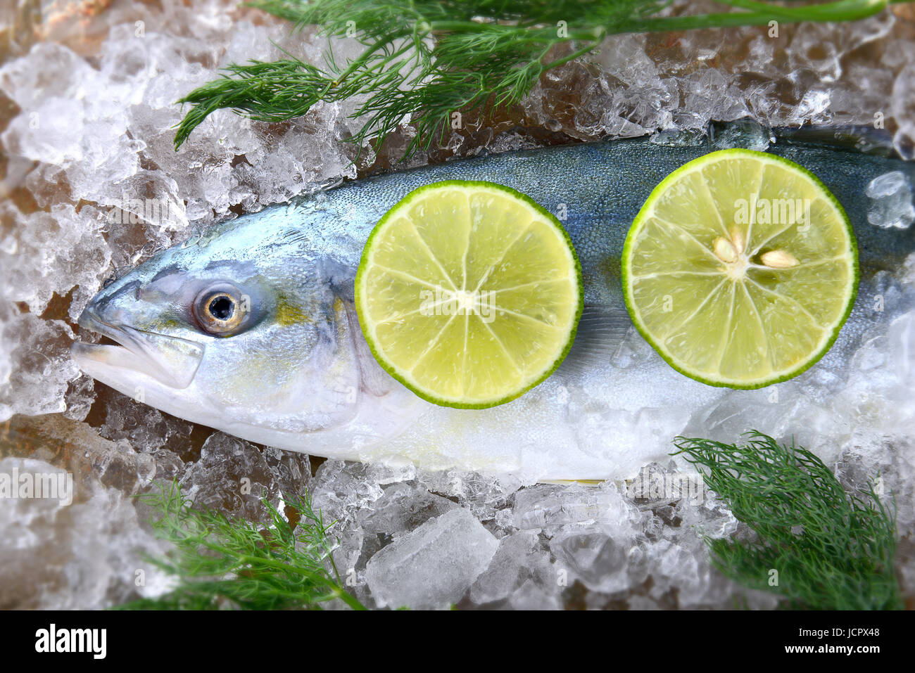 Young amberjack fish or buri fish in Japan is hamachi fish frozen in ...