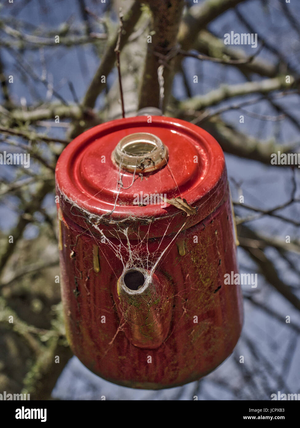 Teapot in a tree Stock Photo - Alamy