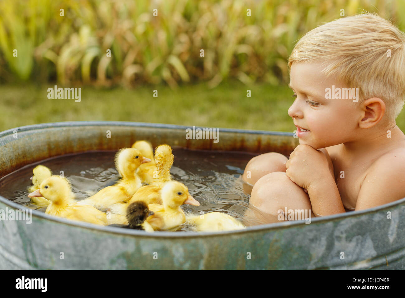 Human And A Baby Duck