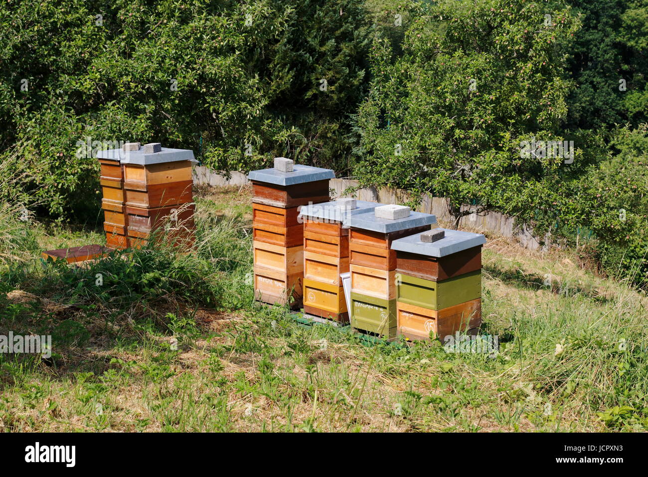 Verschiedene Bienenstöcke, Bienenstock auf der Wiese Stock Photo - Alamy