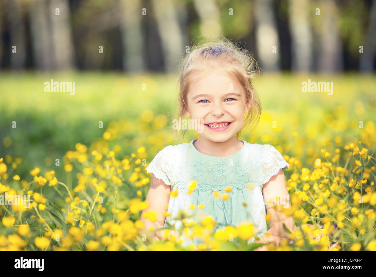 Spring blooming meadow hi-res stock photography and images - Alamy