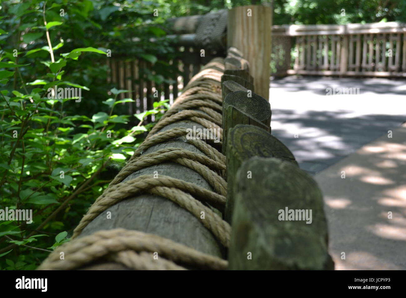 Rope Bridge at the Zoo Stock Photo - Alamy