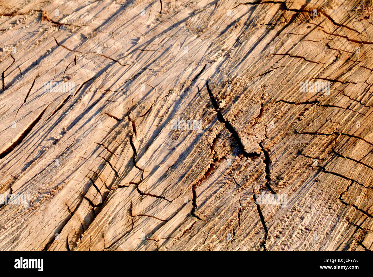 Log section hi-res stock photography and images - Alamy