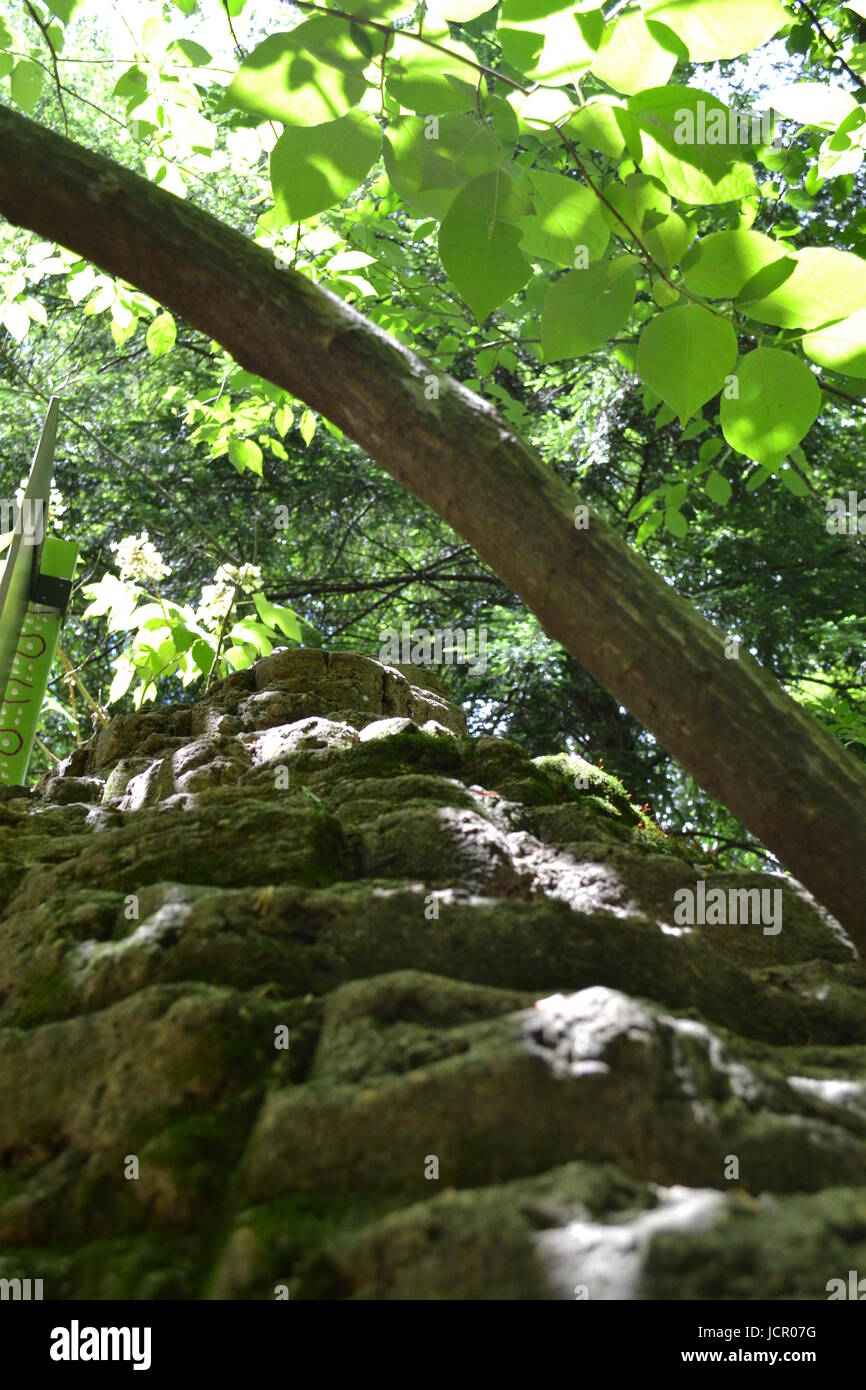 Climb to Foster Falls Stock Photo - Alamy