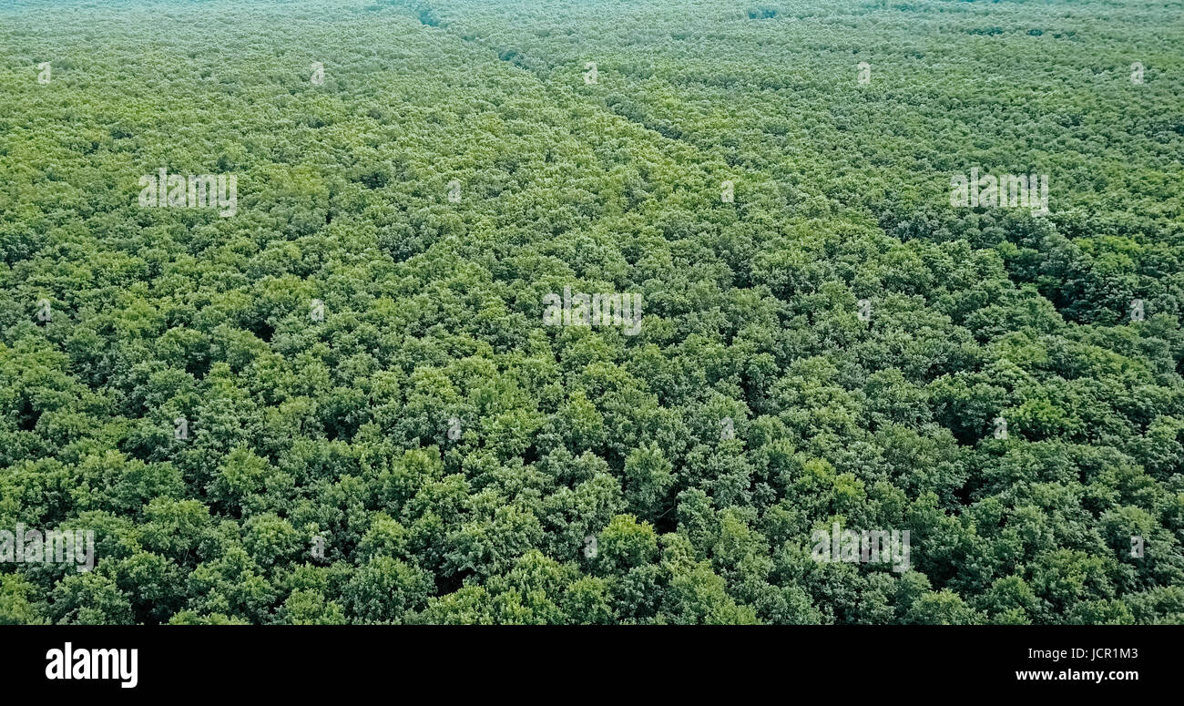 Aerial forest road map hi-res stock photography and images - Alamy