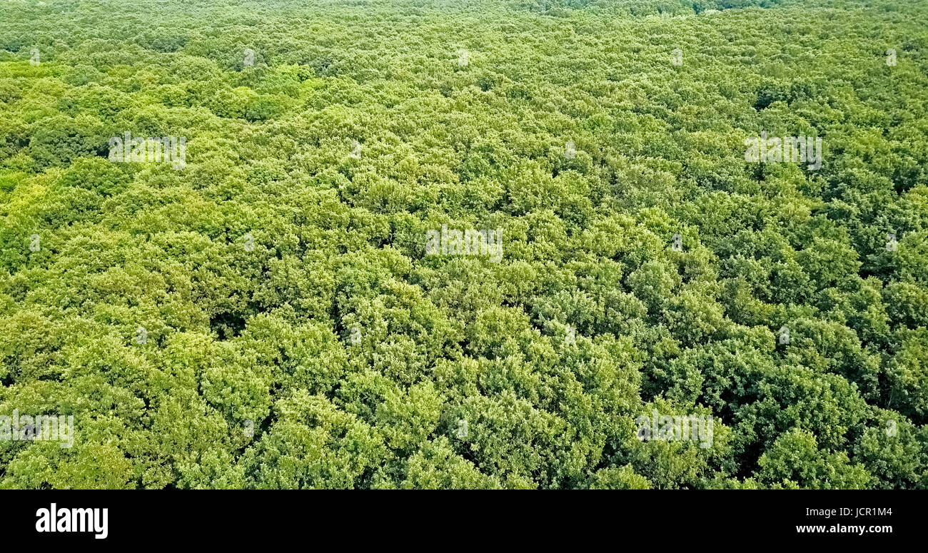 Beautiful high aerial drone view hi-res stock photography and images ...