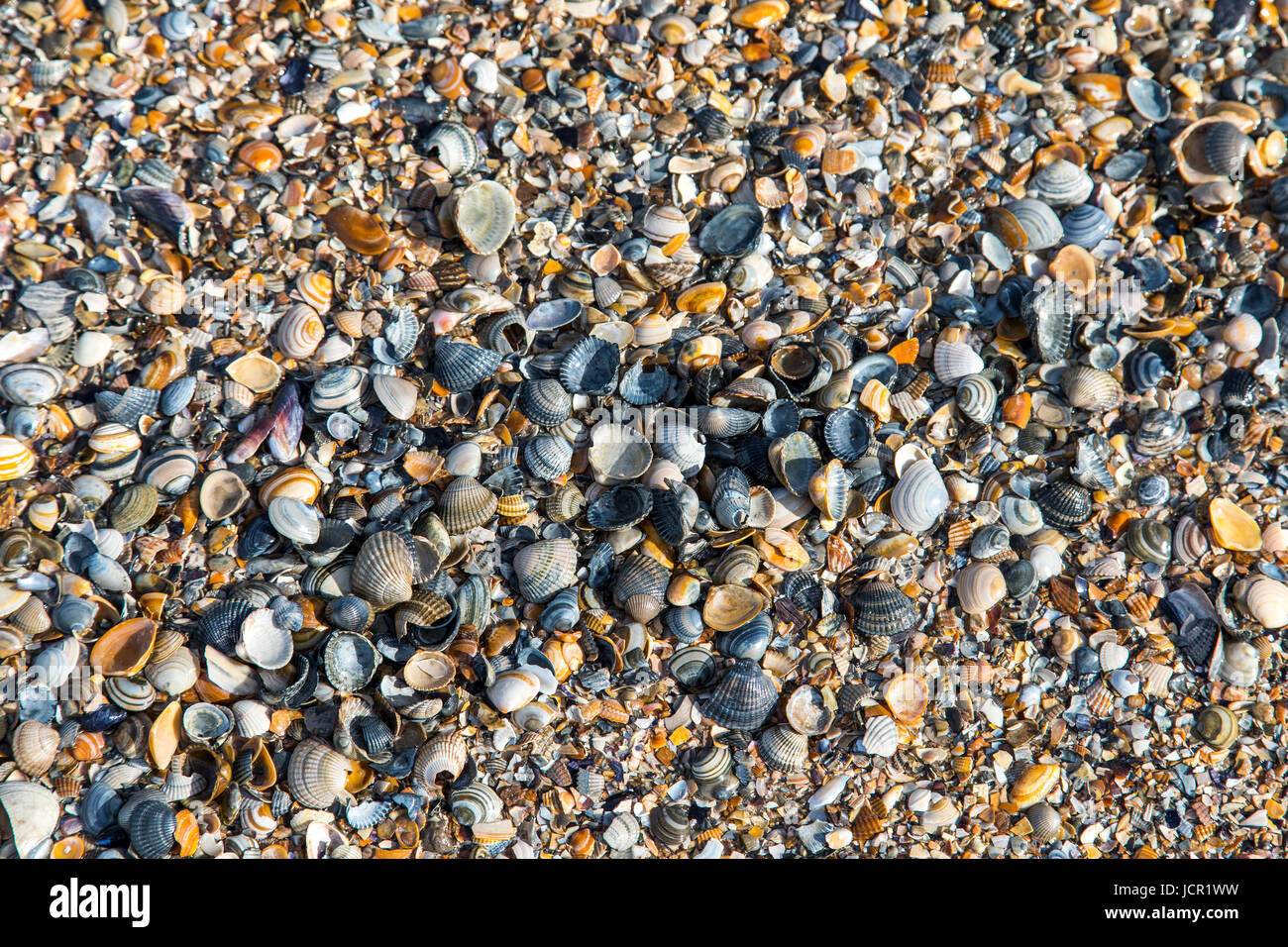 North Sea island, Norderney, East Frisia, Germany, Beach, many little ...
