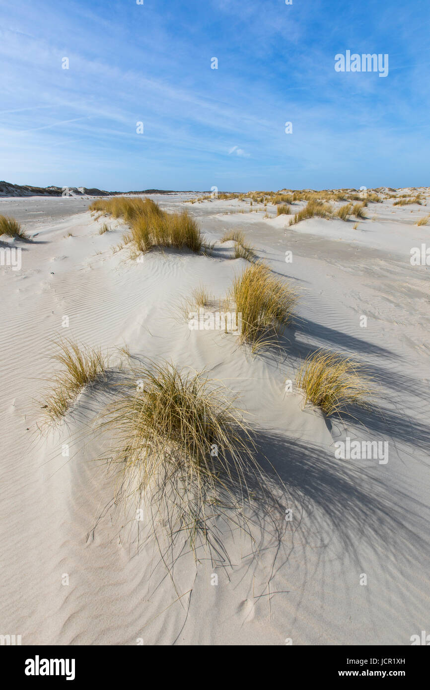 Norderney and hiking and germany hi-res stock photography and images ...