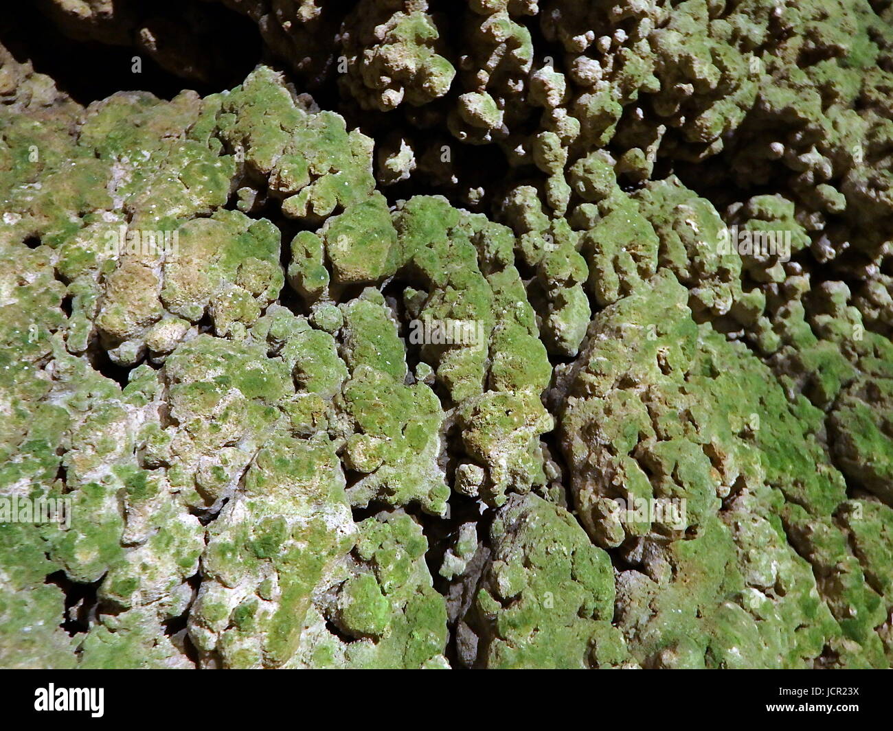 Travertine covered with green moss, calc tuff - natural background ...
