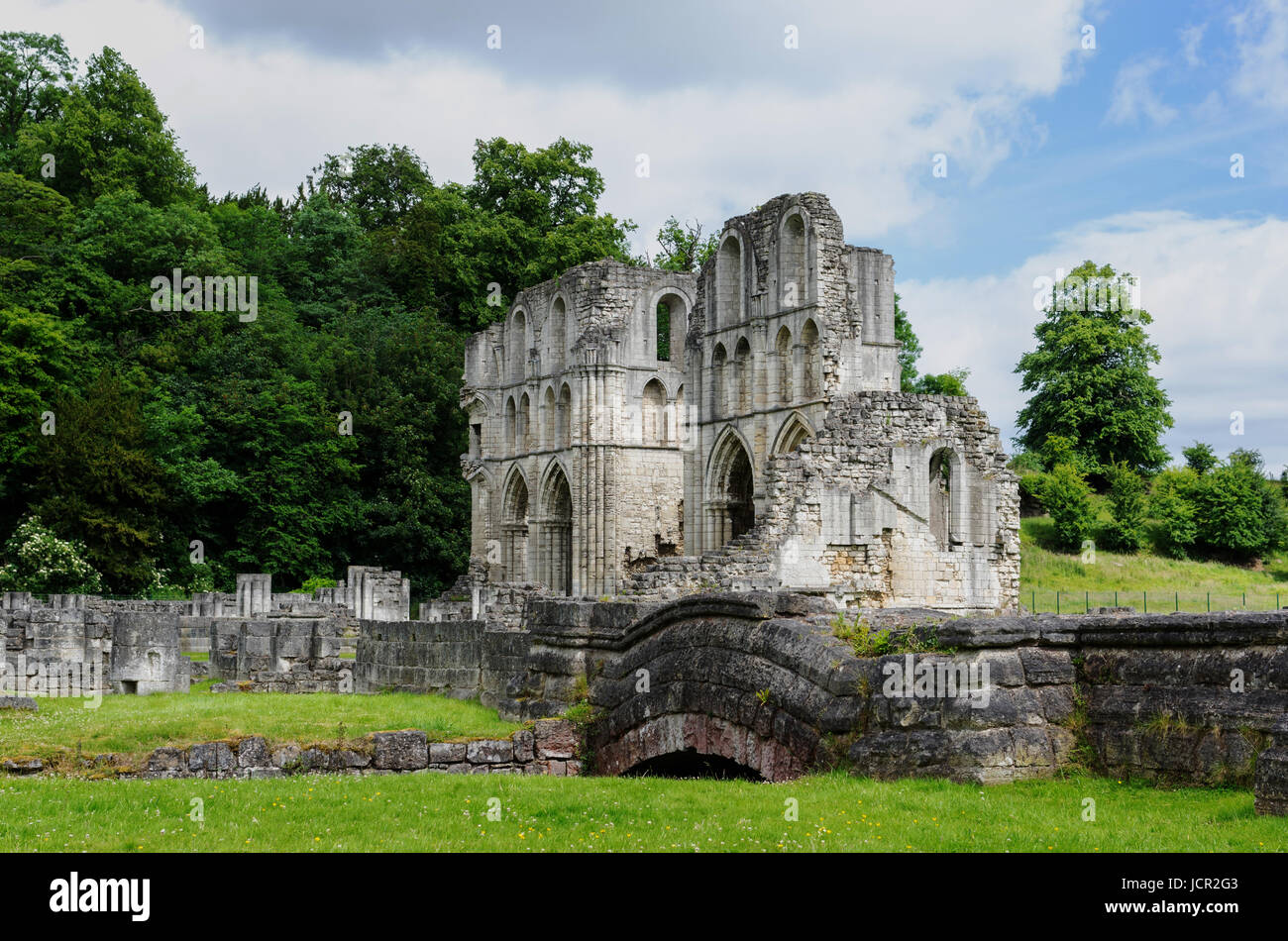 The Ruins of Roche Abbey, Maltby, Rotherham, England Stock Photo - Alamy